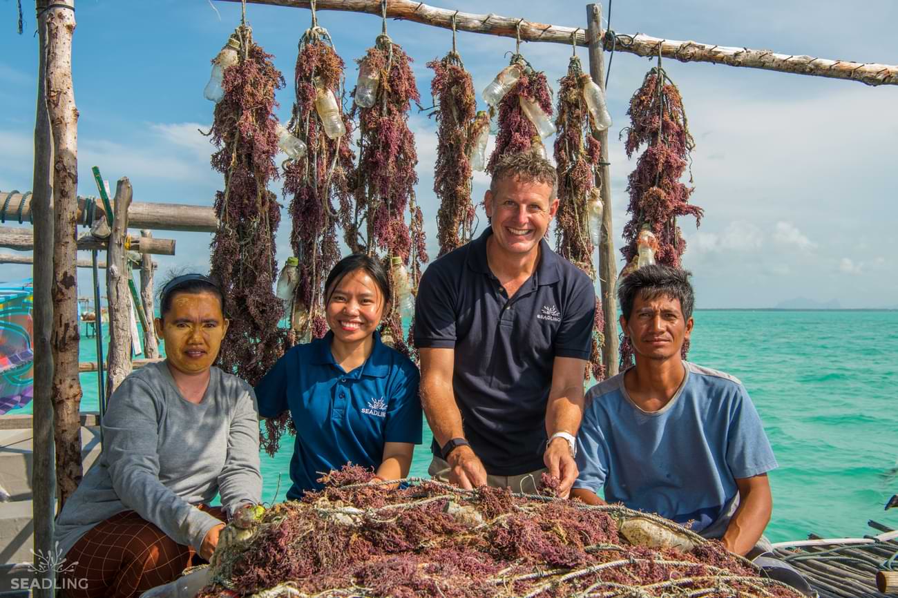 SEADLING: Building the Future of Seaweed